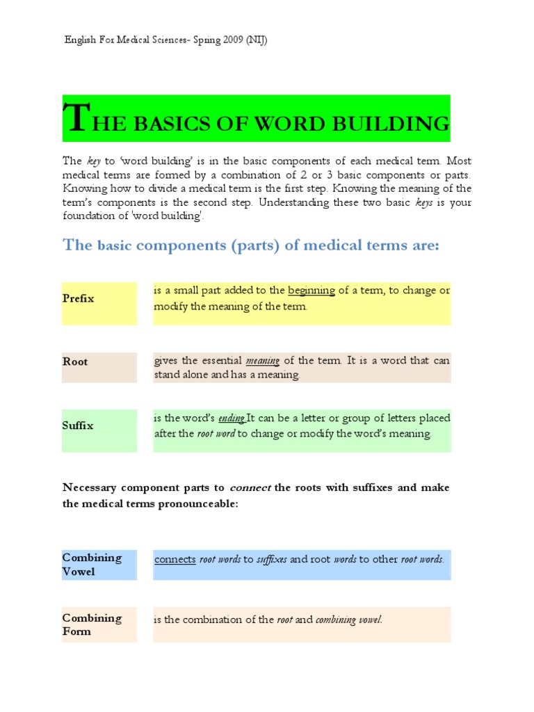 The Basics of Word Building | PDF | Linguistics | Medicine