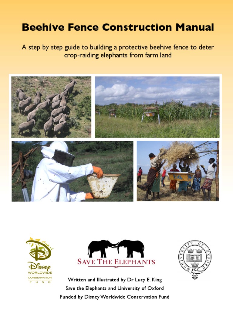 Beehive Construction | PDF | Beehive | Honey Bee