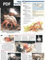 Wildlife Fact File - Mammals - Pgs. 1-10 | PDF | Elephant | Calf