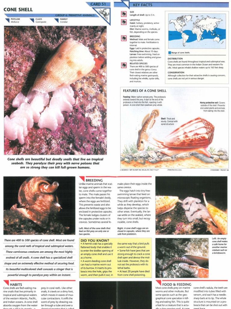 Wildlife Fact File - Primitive Animals - Pgs. 51-61 | Download Free PDF ...