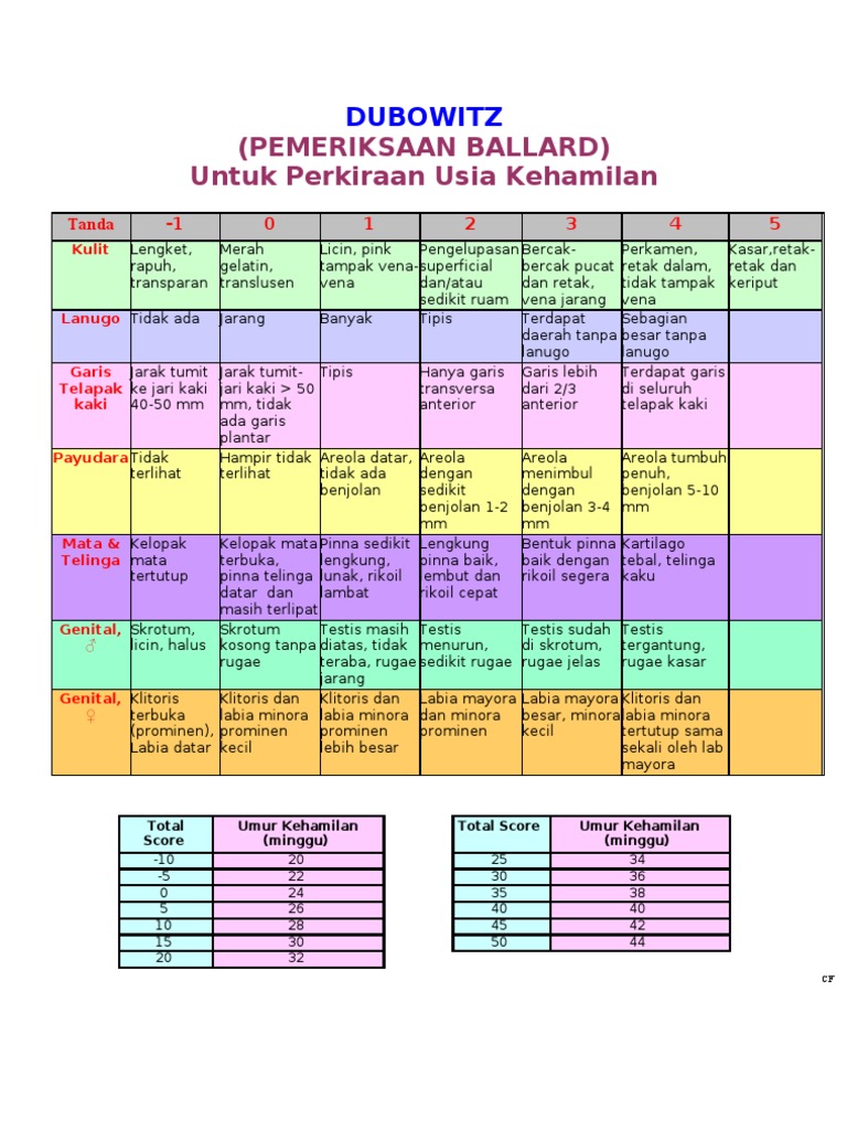 Dubowitz Score | PDF