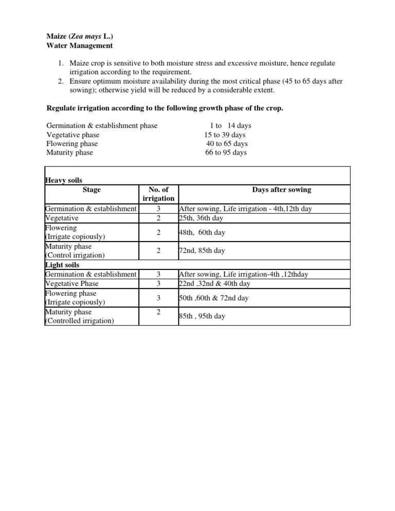 Irrigation Requirement of Maize | PDF | Home & Garden