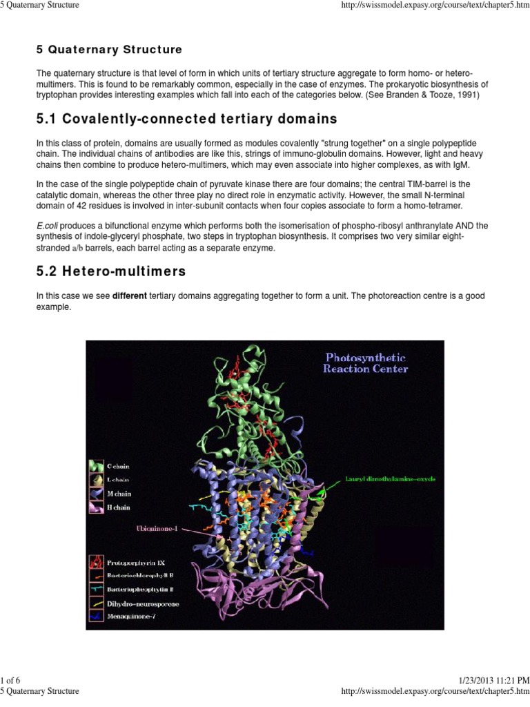 5 Quaternary Structure | Download Free PDF | Protein Domain | Proteins