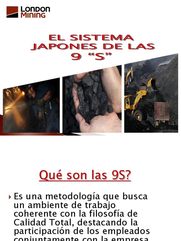 Programa de Las 9's | PDF | Calidad (comercial) | Disciplinas