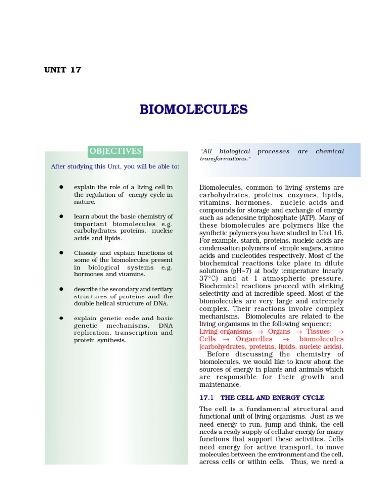 Biomolecules Ncert | PDF | Carbohydrates | Glucose