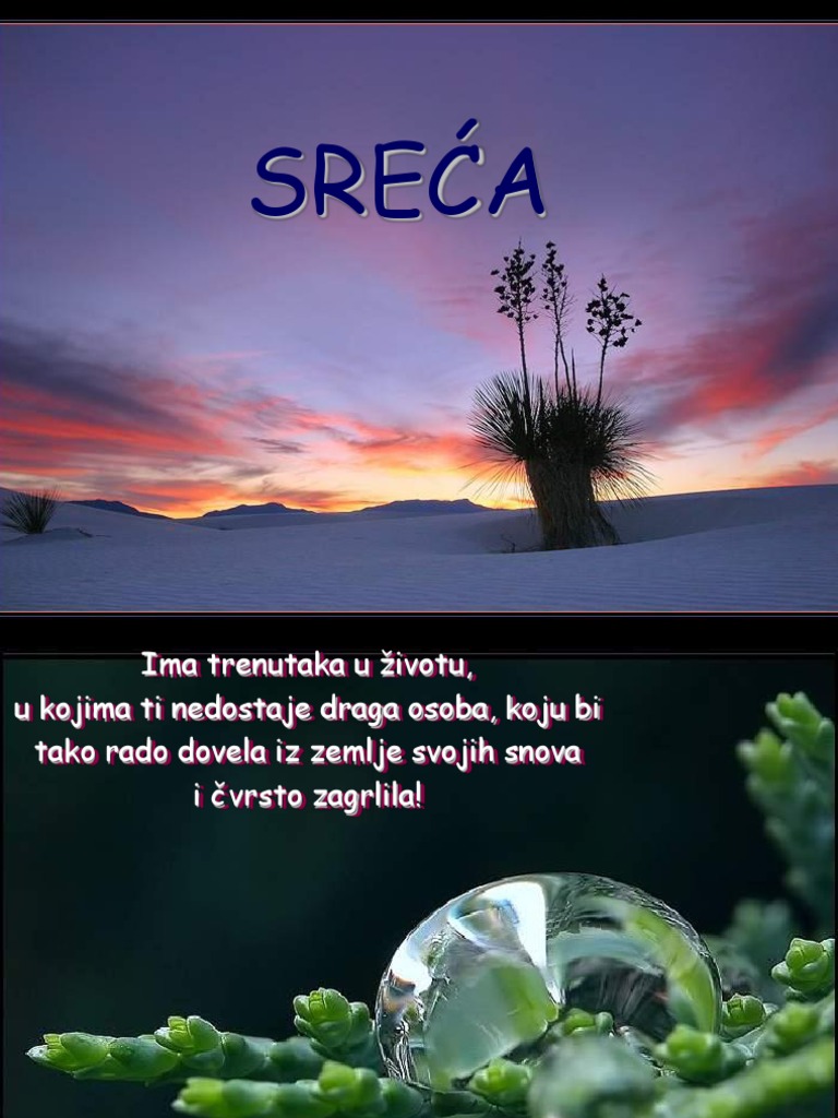 SRECA | PDF