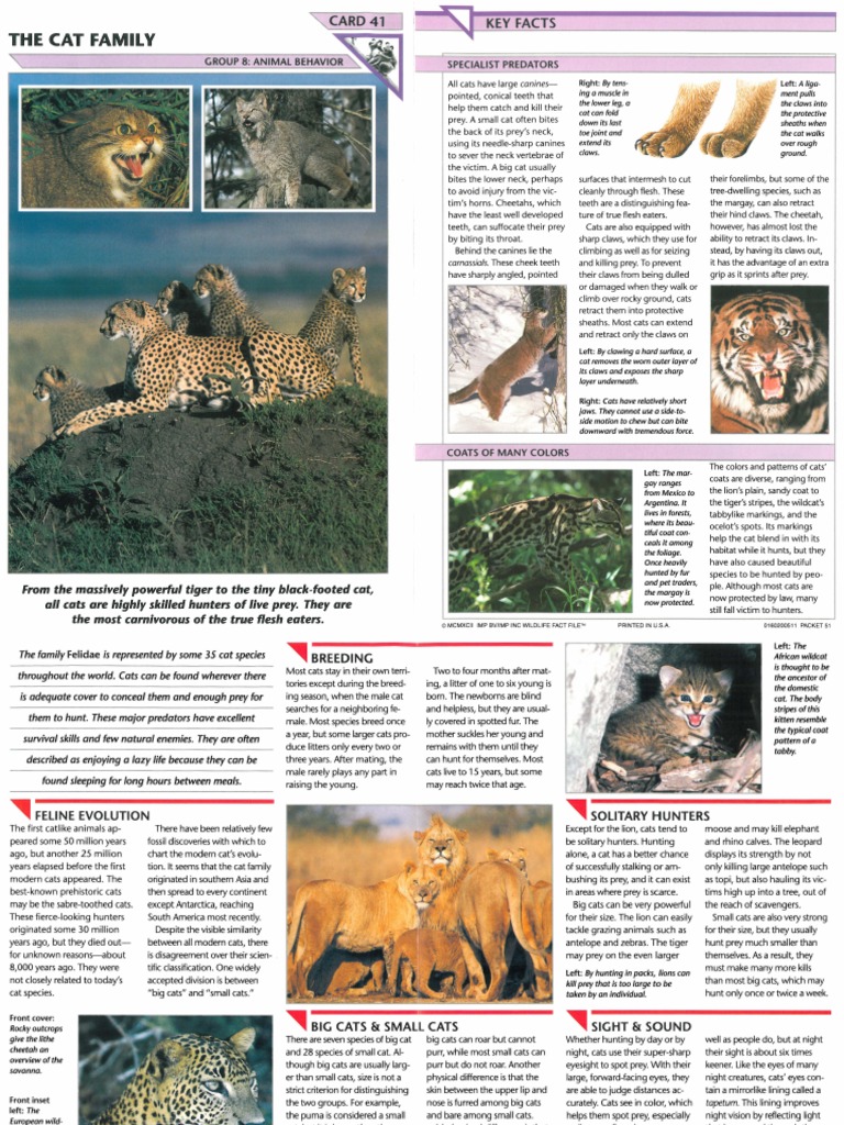 Wildlife Fact File - Animal Behavior - Pgs. 41-50 | Snake | Olfaction