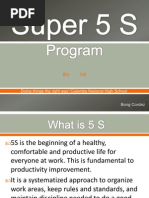 5S and 3Rs | PDF