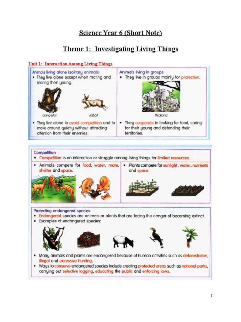 Nota Sains Tahun 6 | PDF