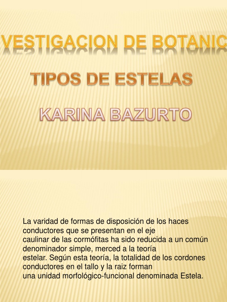 Tipos de Estela en Plantas Vasculares | PDF | Tallo de la planta | Anatomía