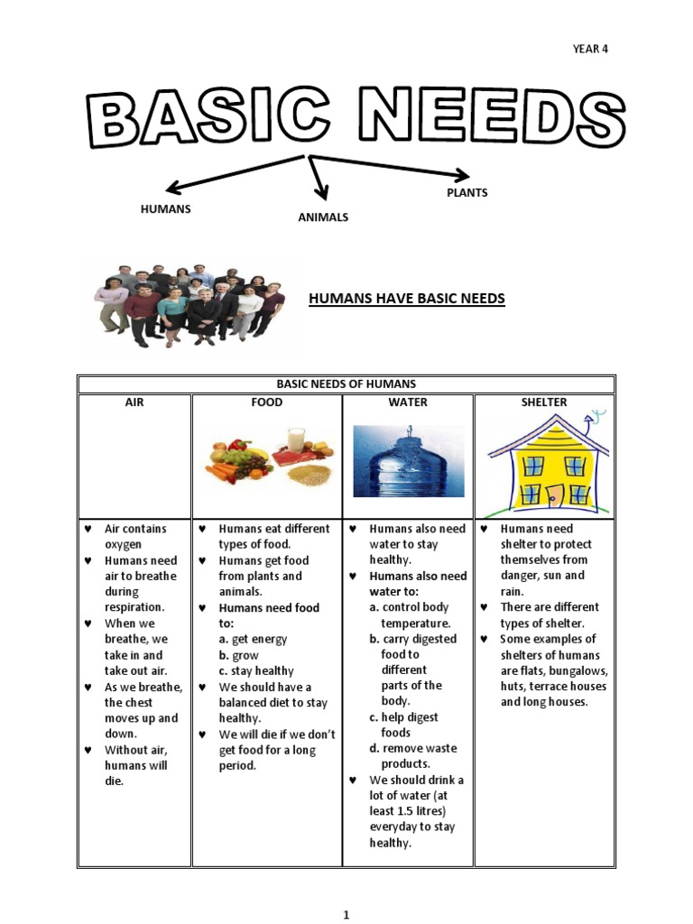 Year 4 Science | PDF | Plants | Atmosphere Of Earth