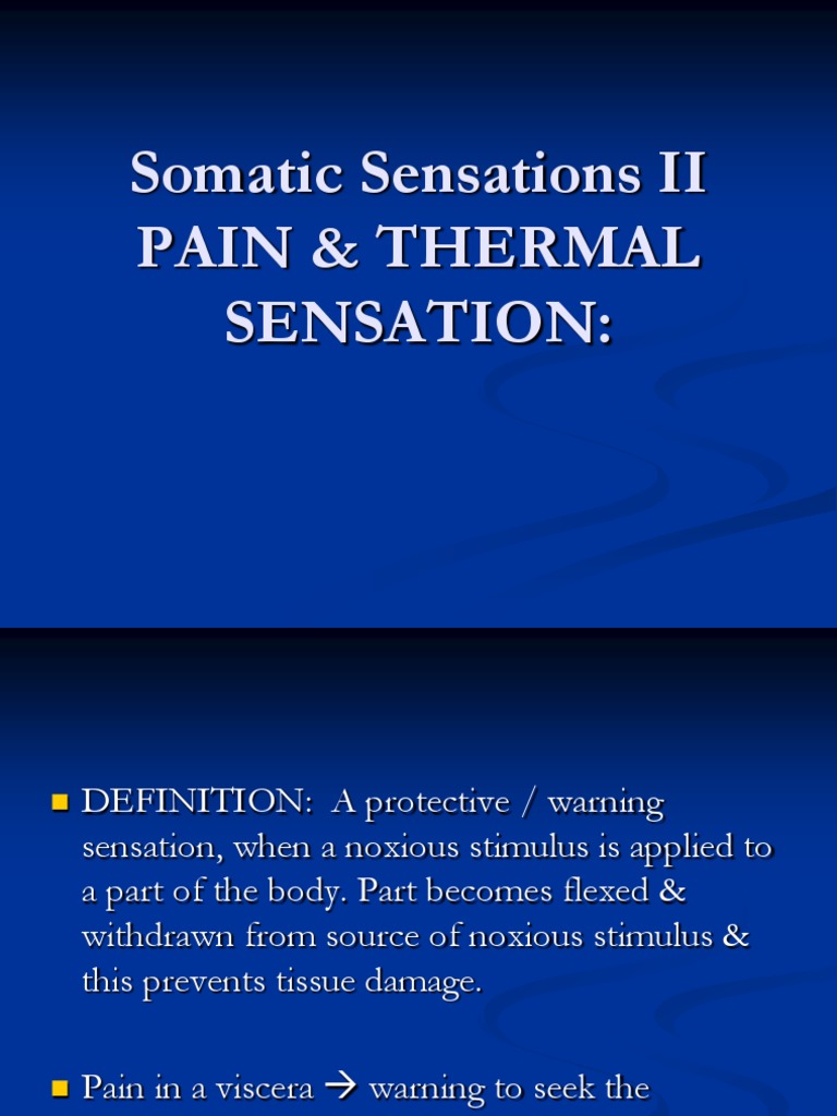 LECT.5, PAIN & THERMAL SENSATION For 2nd Year Mbbs Students | PDF ...