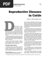 Chapter 1 Meat Inspection Procedures | PDF | Animal Slaughter | Meat