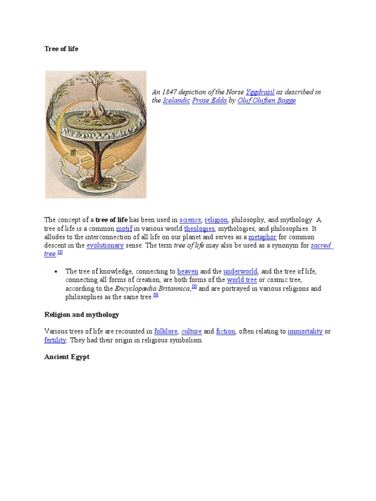 Tree of Life | PDF | Tree Of Life | Tree Of Life (Biology)