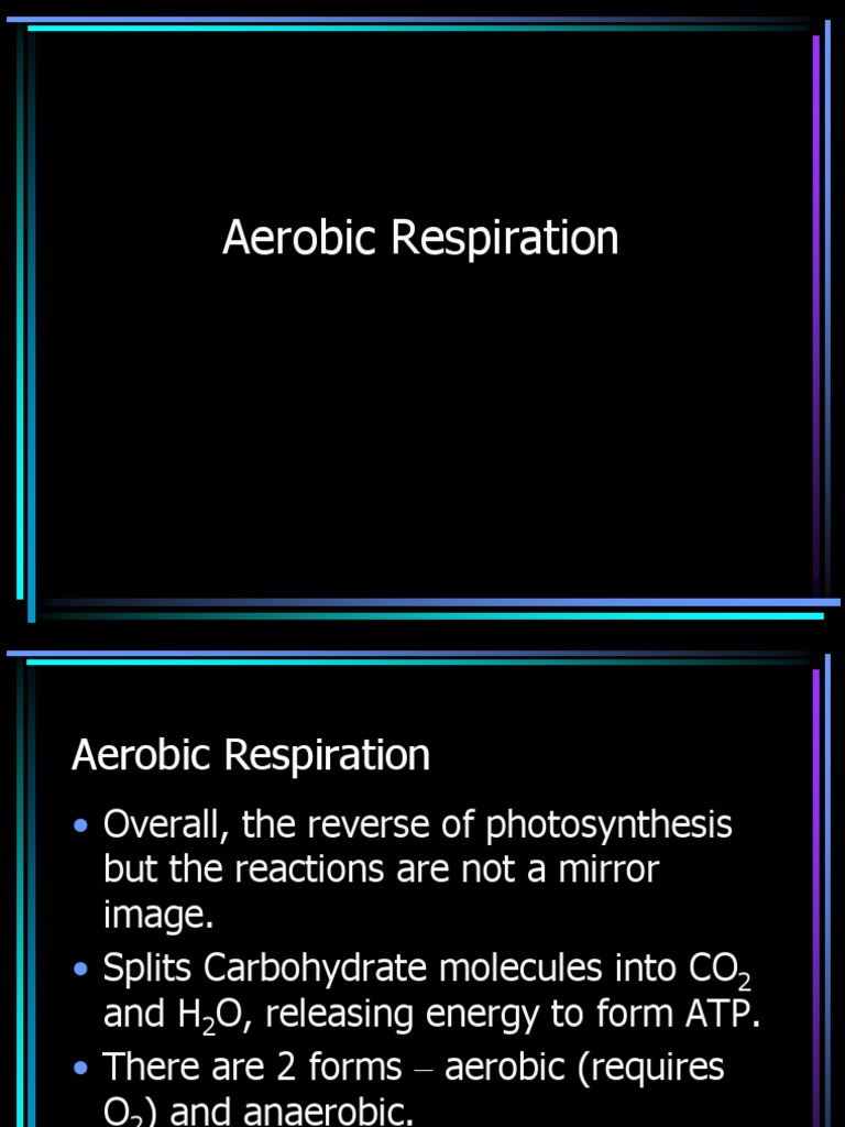 Aerobic Respiration | PDF | Cellular Respiration | Adenosine Triphosphate