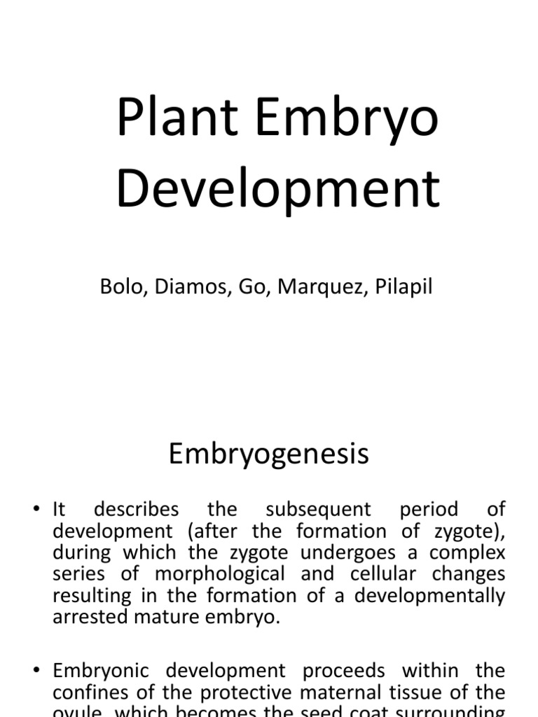 Plant Embryo Development | Plant Reproduction | Developmental Biology