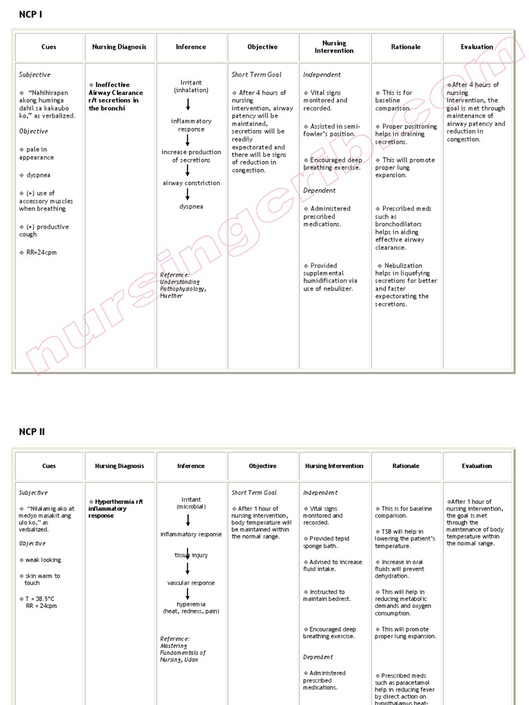 Nursing Care Plan Ineffective Airway Clearance (Bronchi) | PDF ...