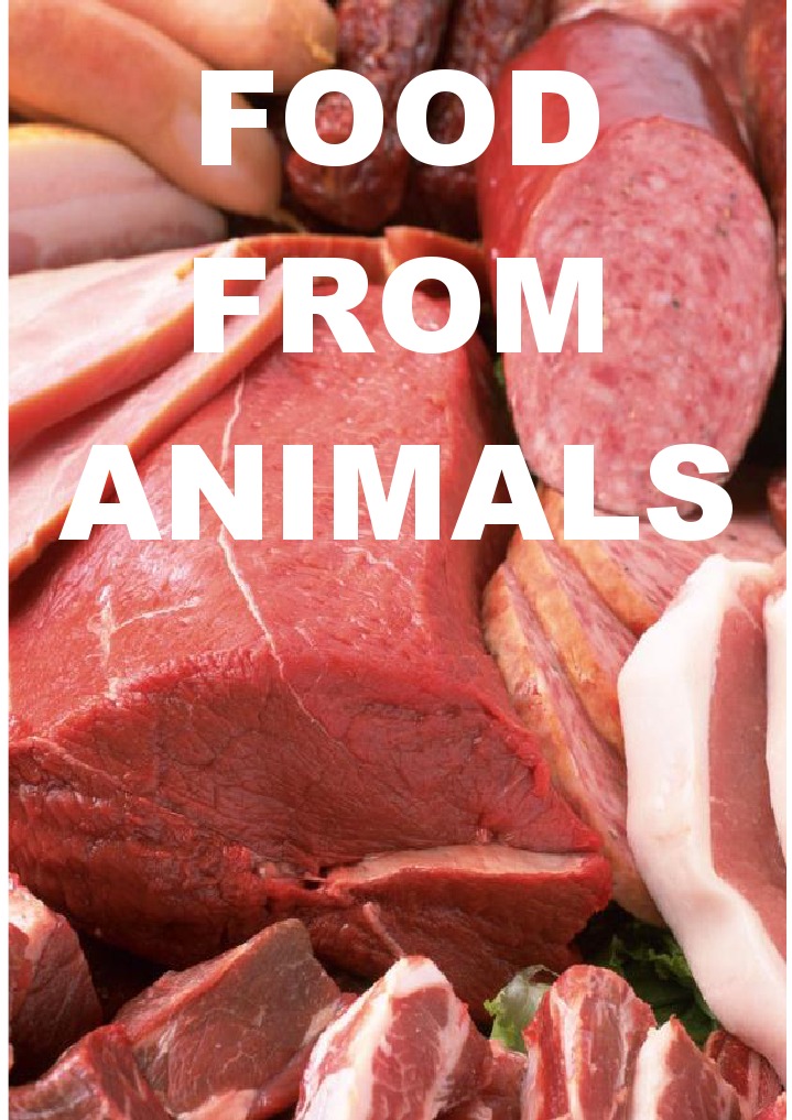 Animal and Plant-Based Foods Guide | PDF