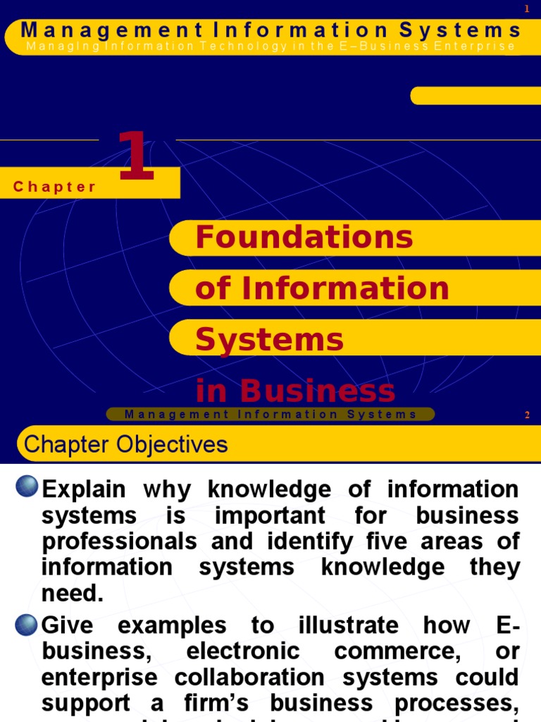 Foundation Course in Information SYSTEM | PDF | Information System ...