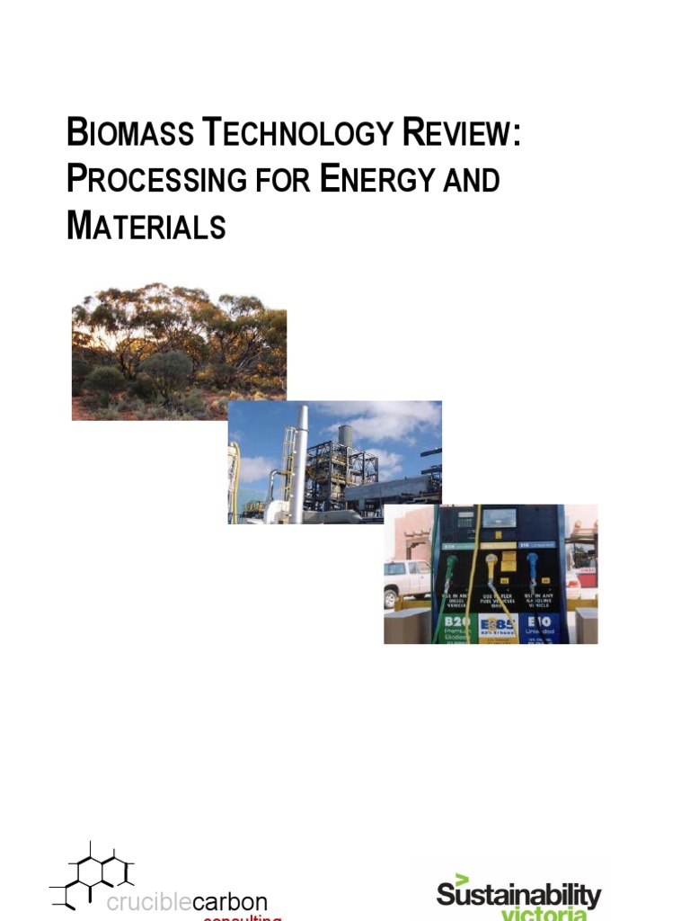 Biomass Technology Review | Download Free PDF | Biomass | Bioenergy