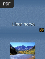 Functional Status Score For The Intensive Care Unit (FSS-ICU) General ...