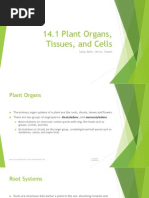 SNC2D Biology Exam Review Guide | PDF | Cell (Biology) | Cancer