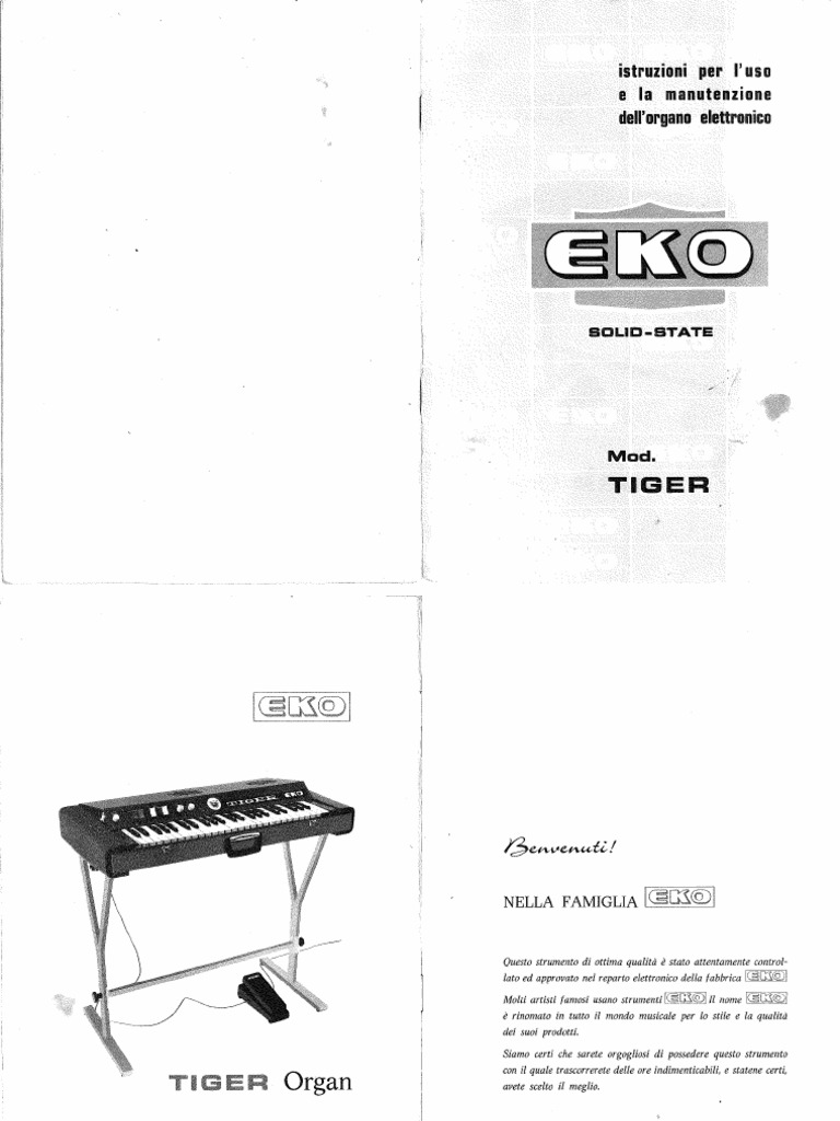 EKO Tiger Organ | PDF | Foreign Language Studies