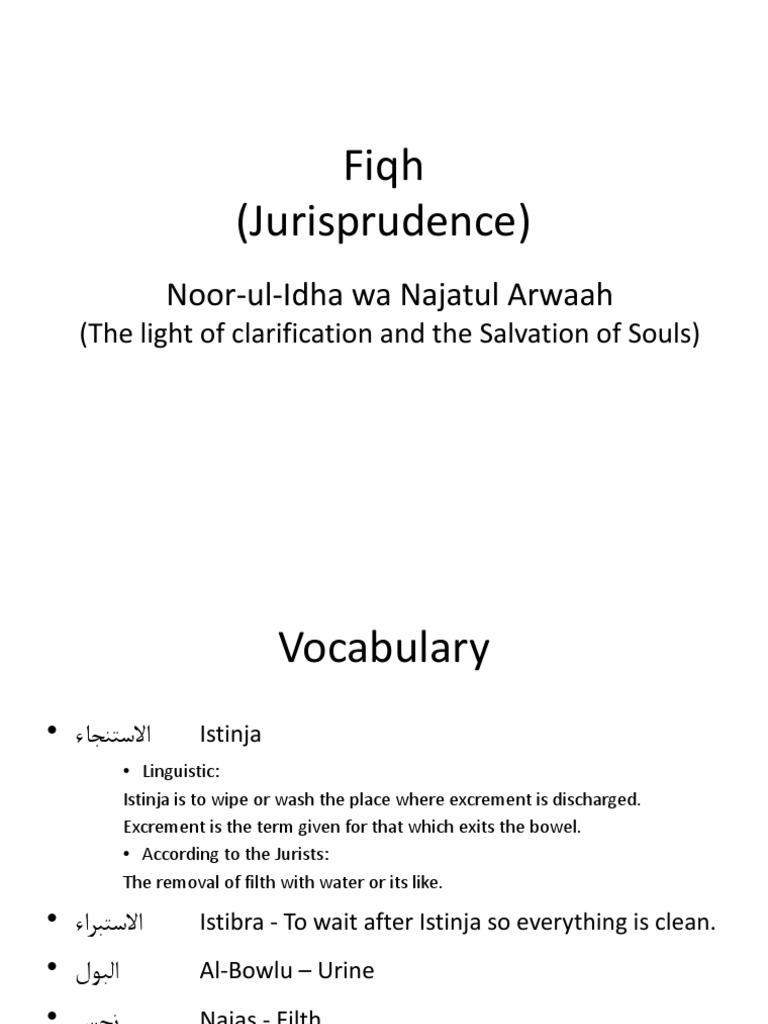 Fiqh 6 - The Chapter of Istinja | PDF | Islam And Politics | Sharia