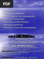 Colcachios Menu | PDF | Salad | Foods