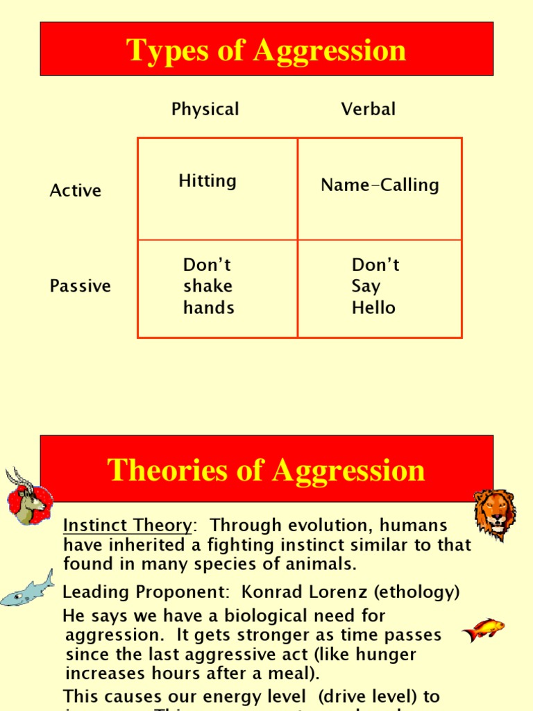 Types of Aggression: Physical Verbal | PDF