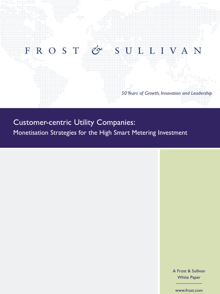 OrgaSystems-FS Customer-Centric-Utility WP 2012sep 0 | PDF | Smart Grid ...