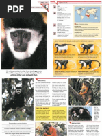 Wildlife Id Guide | PDF | Sheep | Deer