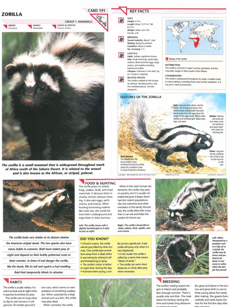 Wildlife Fact File - Mammals, Pgs. 191-200 | PDF | Deer | Zebra