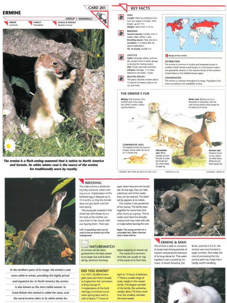 Wildlife Fact File - Mammals - Pgs. 201-210 | PDF | Conservation | Nature