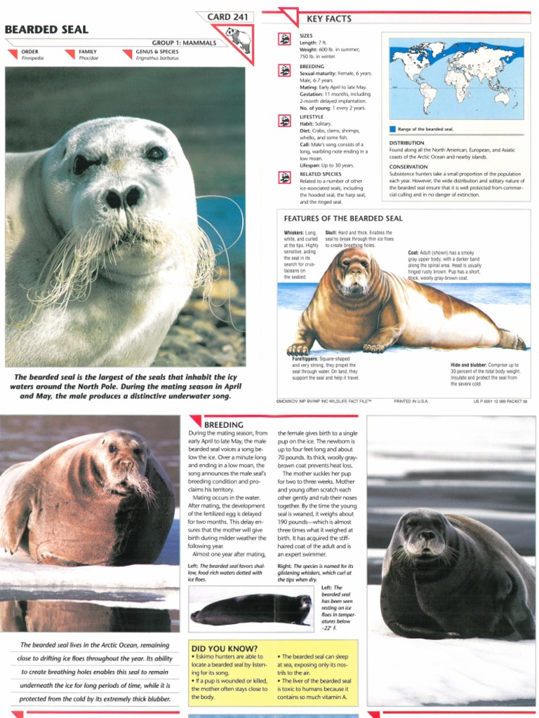 Wildlife Fact File - Mammals - Pgs. 241-250 | PDF | Pinniped | Dolphin