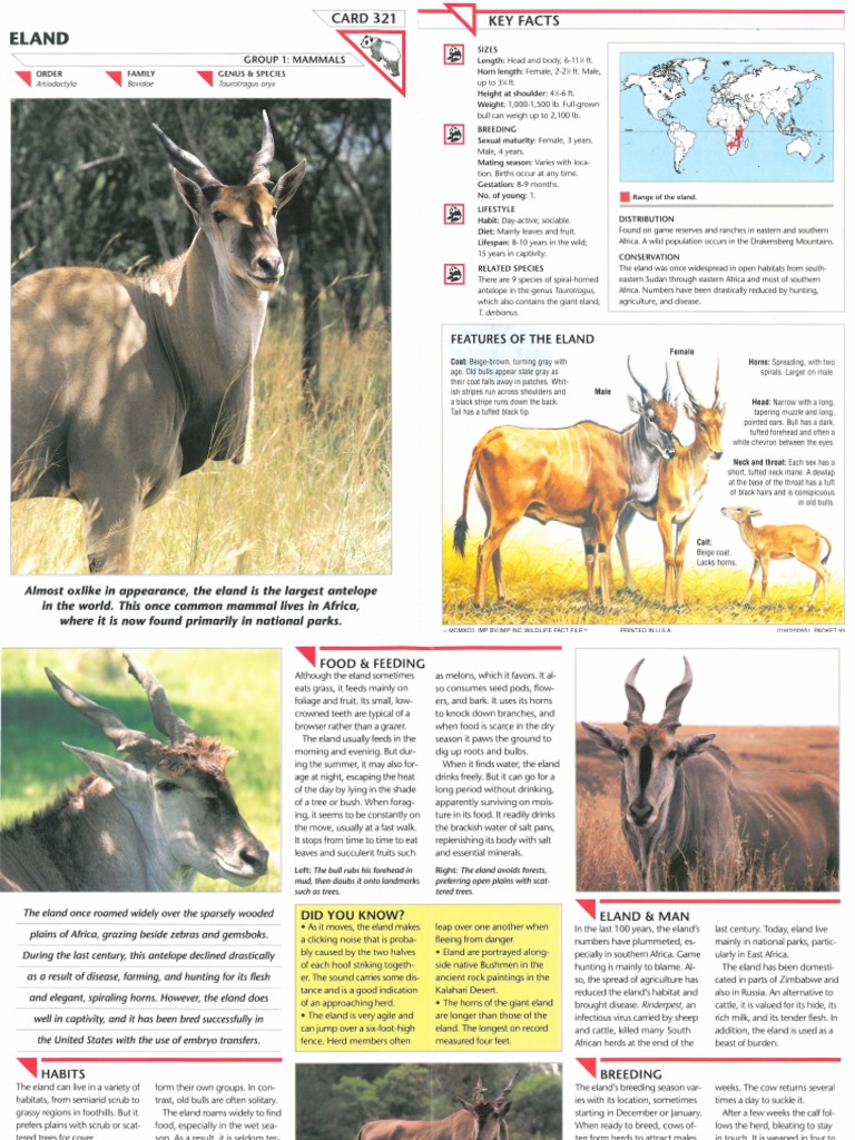 Wildlife Fact File - Mammals Pgs. 321-330 | PDF | Bat | Pinniped