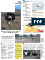 Wildlife Fact File - Birds - 61-70 | PDF | Peafowl | Birds