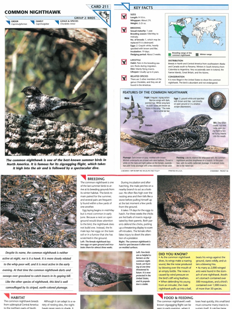 Wildlife Fact File - Birds - Pgs. 211-220 | PDF | Birds | Tetrapods