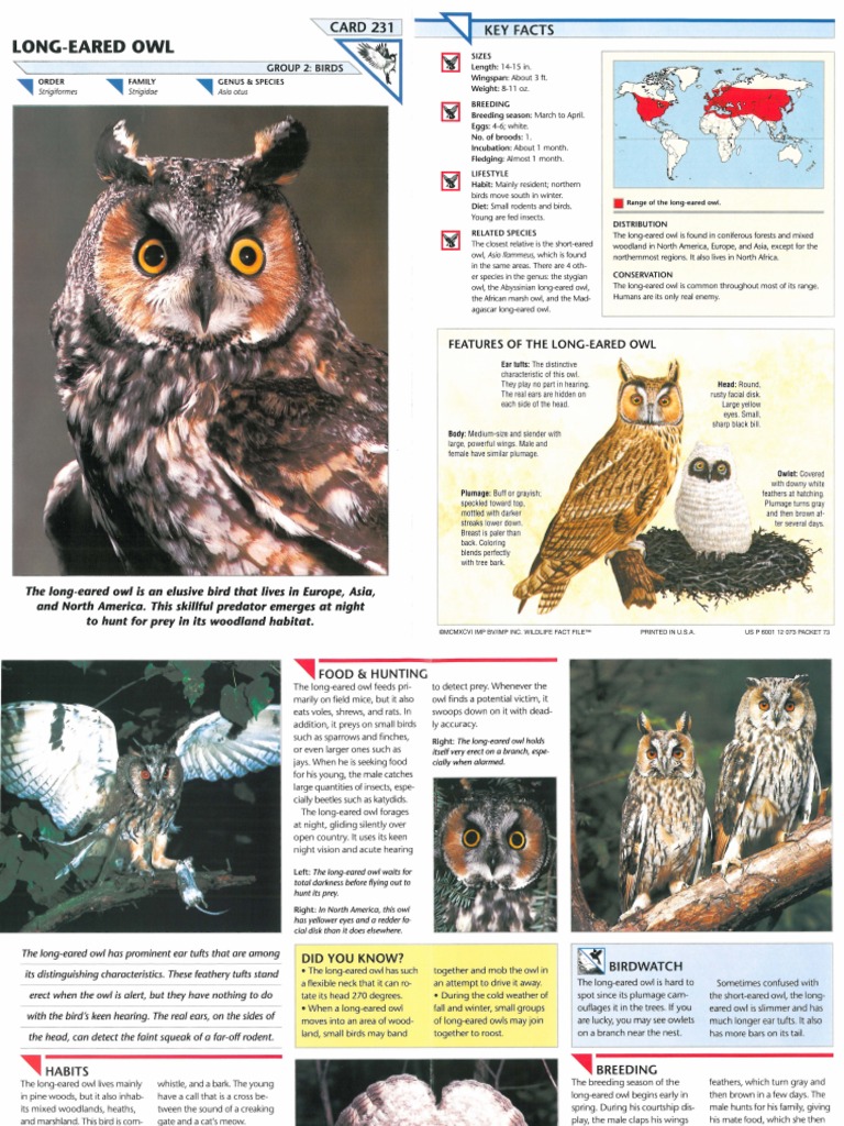Wildlife Fact File - Birds - Pgs. 231-240 | PDF | Owl | Birds