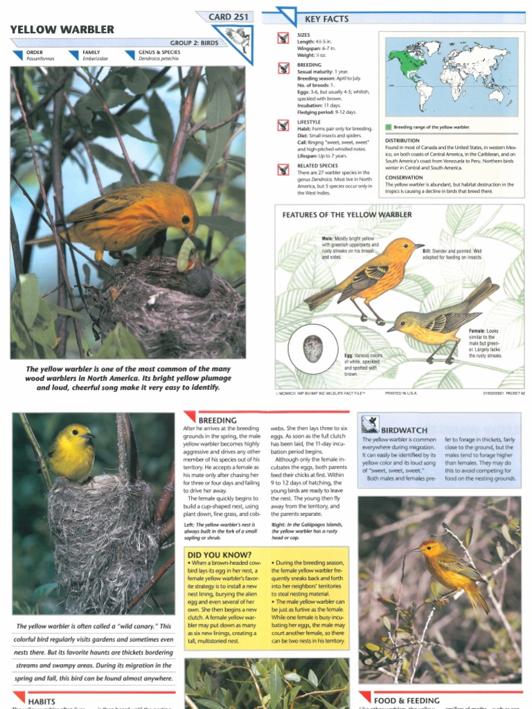 Wildlife Fact File - Birds - Pgs. 251-260 | PDF | Penguin | Owl