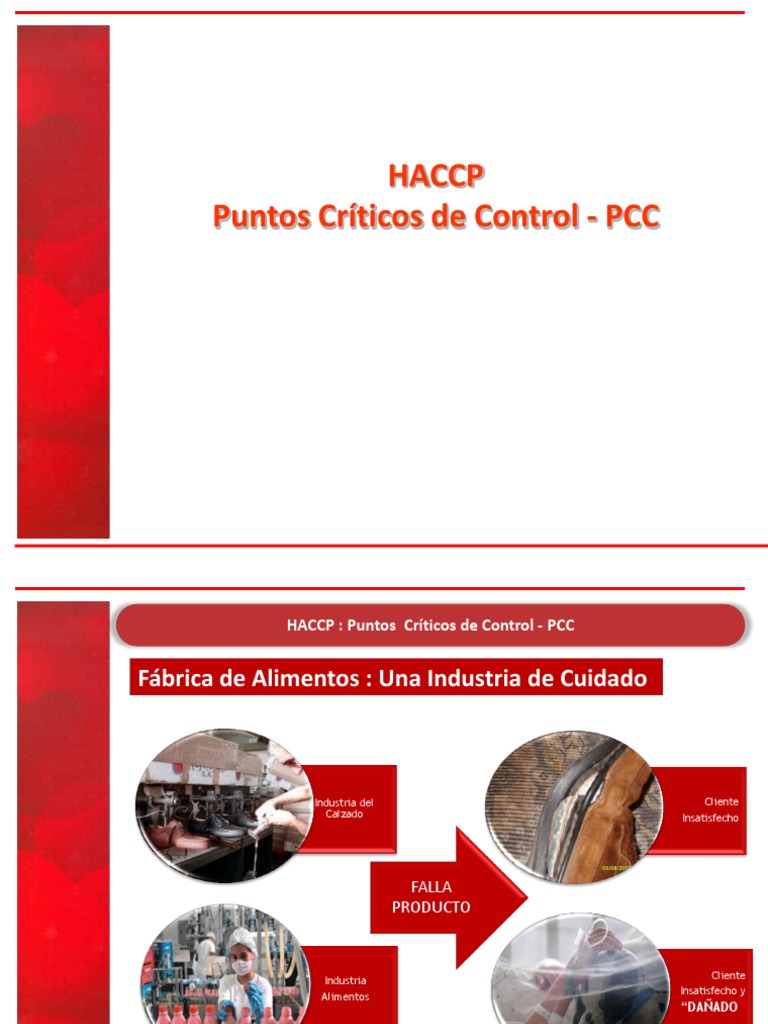 Presentación HACCP - PCC | PDF | Análisis de Riesgo y Puntos Críticos ...
