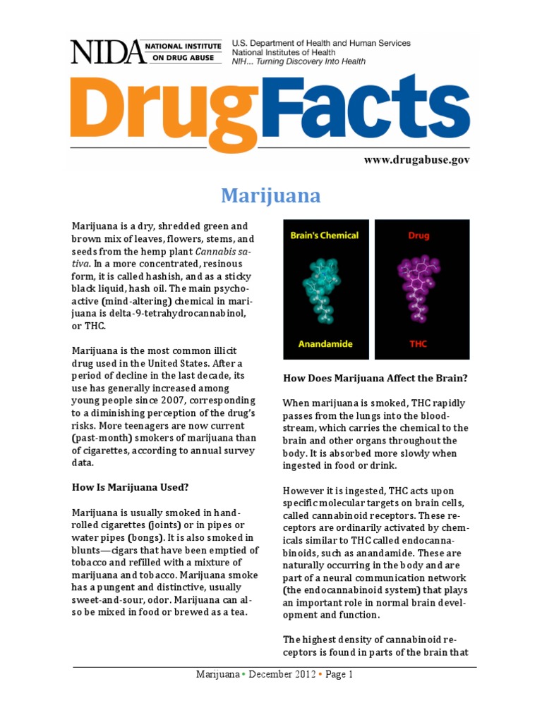 NIDA Drug Facts | PDF | Cannabis (Drug) | Smoking