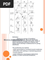 PNF Techniques in The Upper Extremity | PDF | Anatomical Terms Of ...