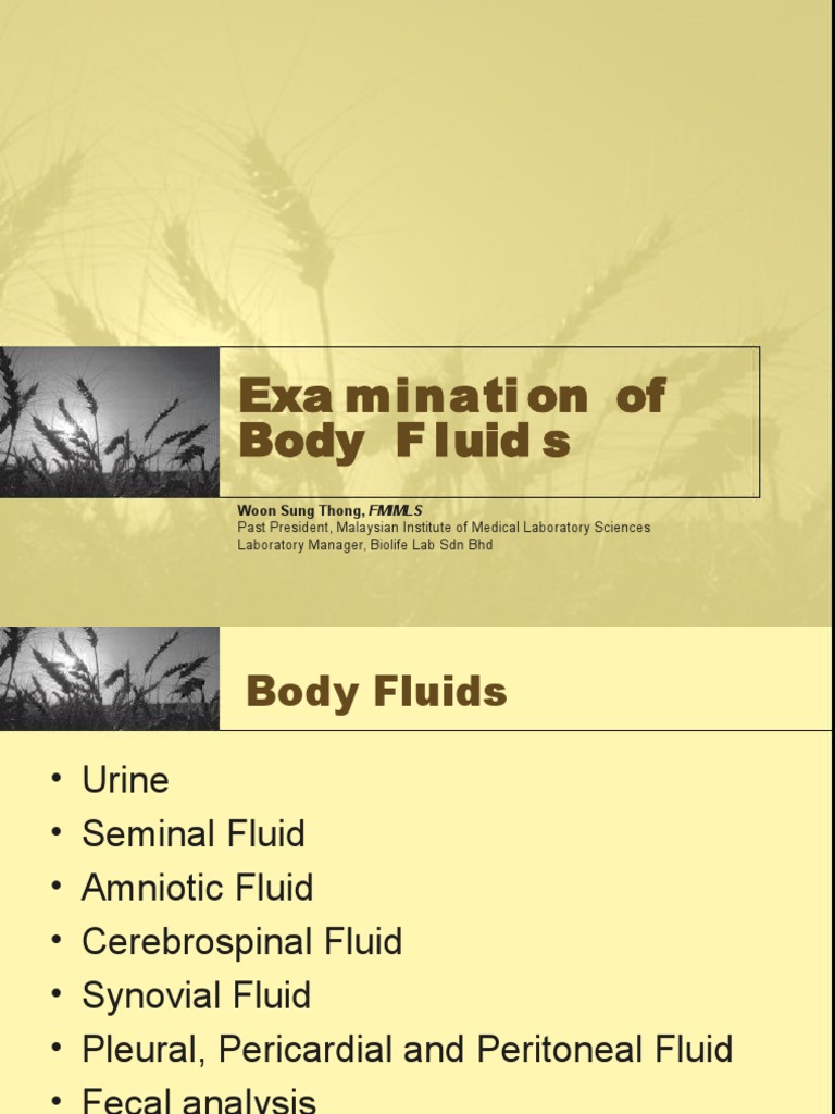Examination Of Body Fluids Urinalysis Pdf Medical Specialties