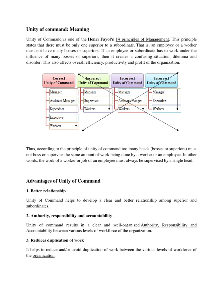 Unity of Command | PDF | Employee | Labour