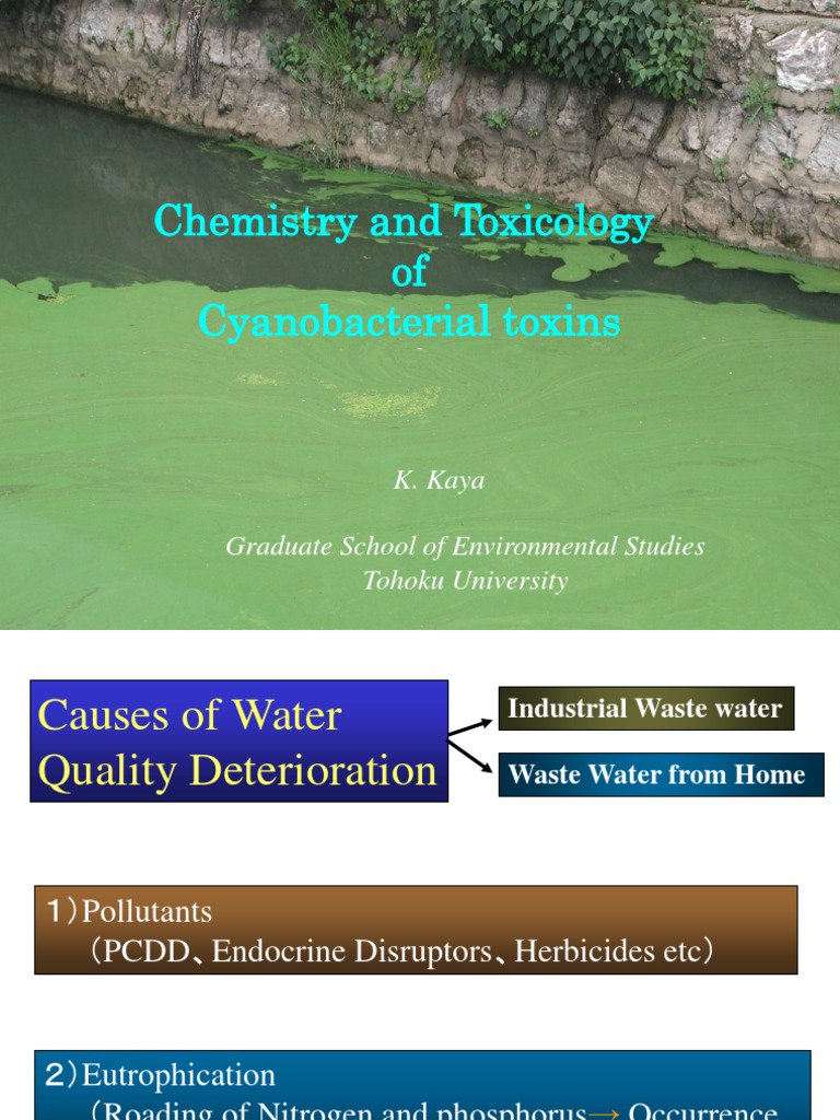 Cyano Toxins | Cyanobacteria | Eutrophication