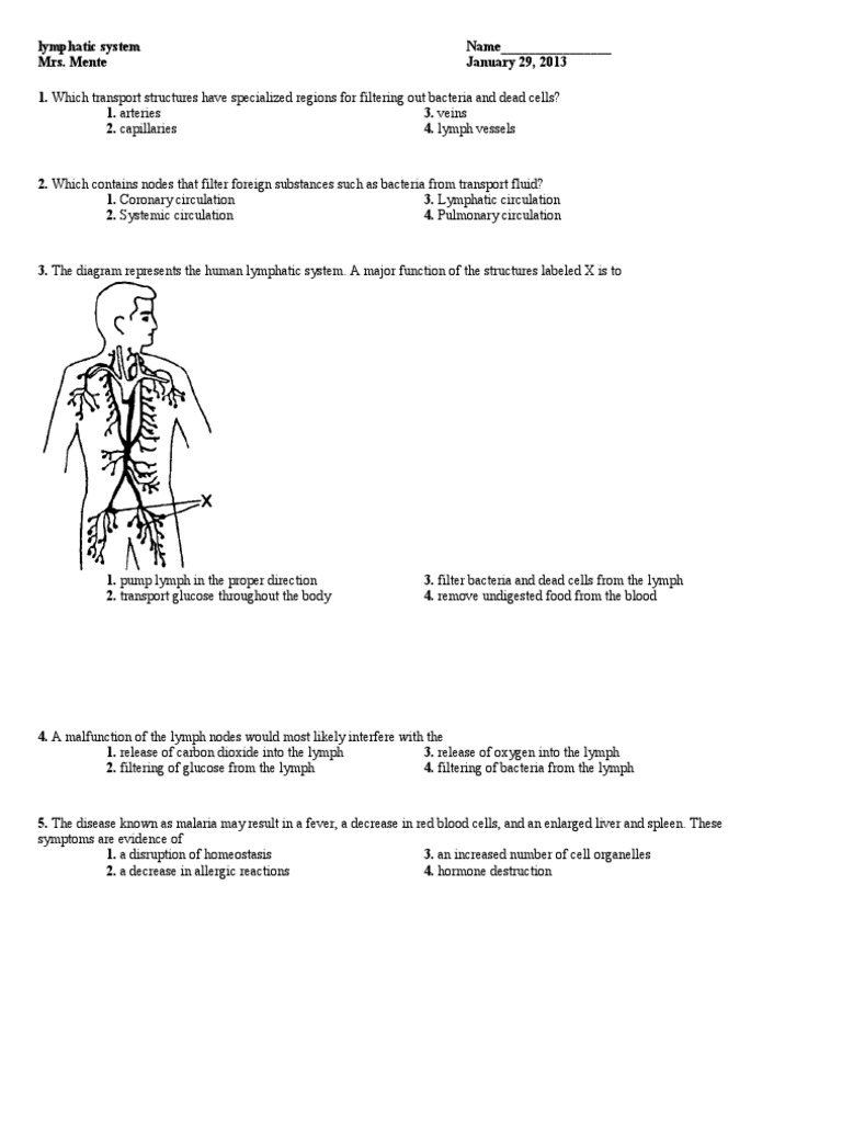 Lymphatic System Regents | PDF