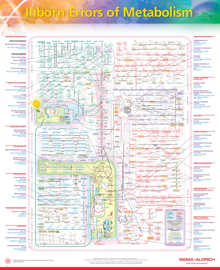 Inborn Errors of Metabolism | PDF | Metabolism | Biochemistry