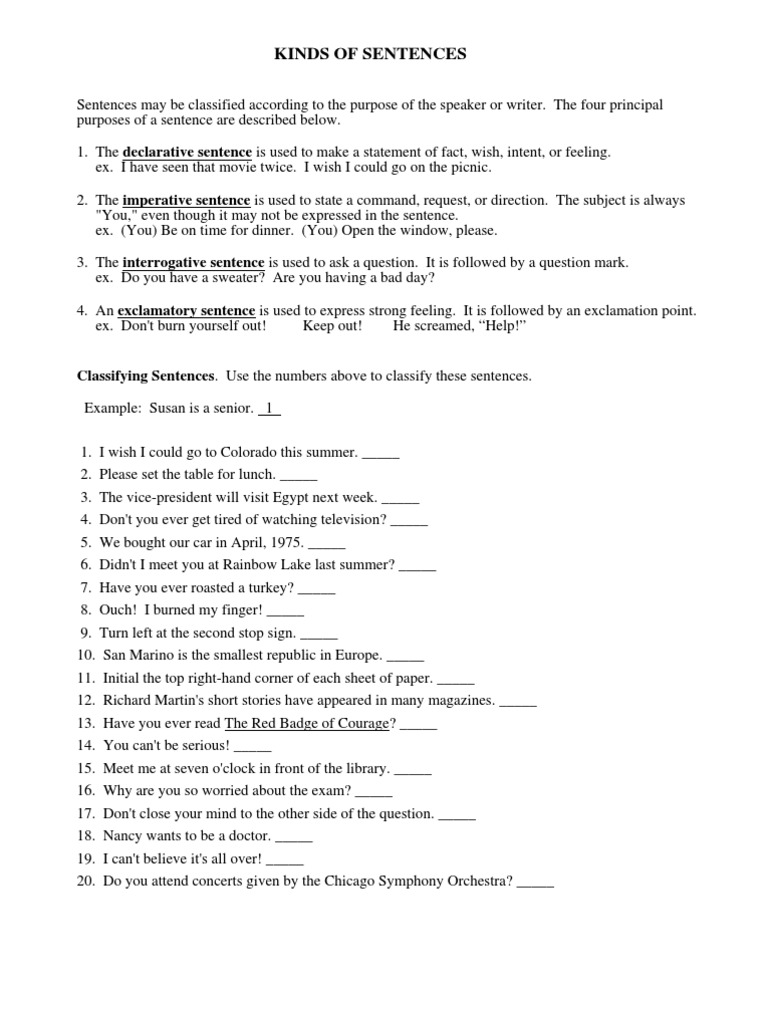 Types of Sentences Explained | PDF