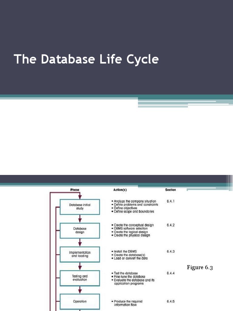 Database Lifecycle | PDF | Databases | Conceptual Model